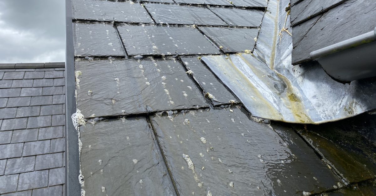 Capillary action – the power behind Benz Bio Cleanze - Benz Softwash Ltd