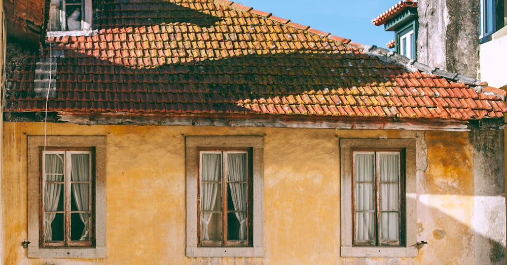 Soft Washing How-to Techniques and Business Building Tips - Benz ...