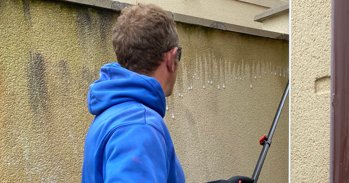 What's the best way to remove algae by soft washing? (video)