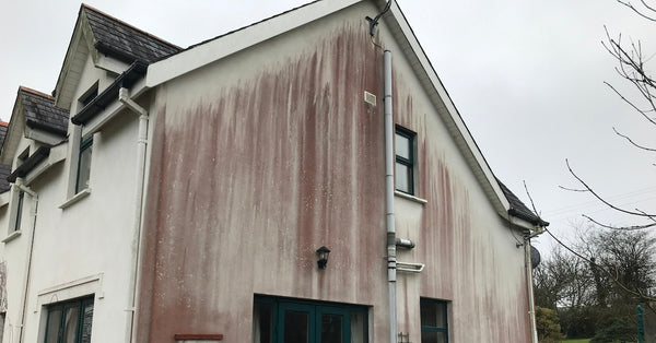 What's the most effective way to softwash red algae stains from render